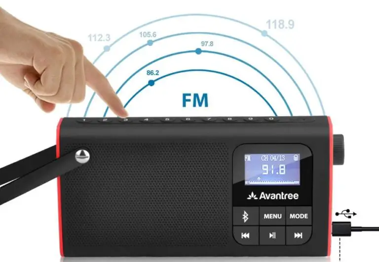 Best Bluetooth Speaker With FM Radio: Features And Rating